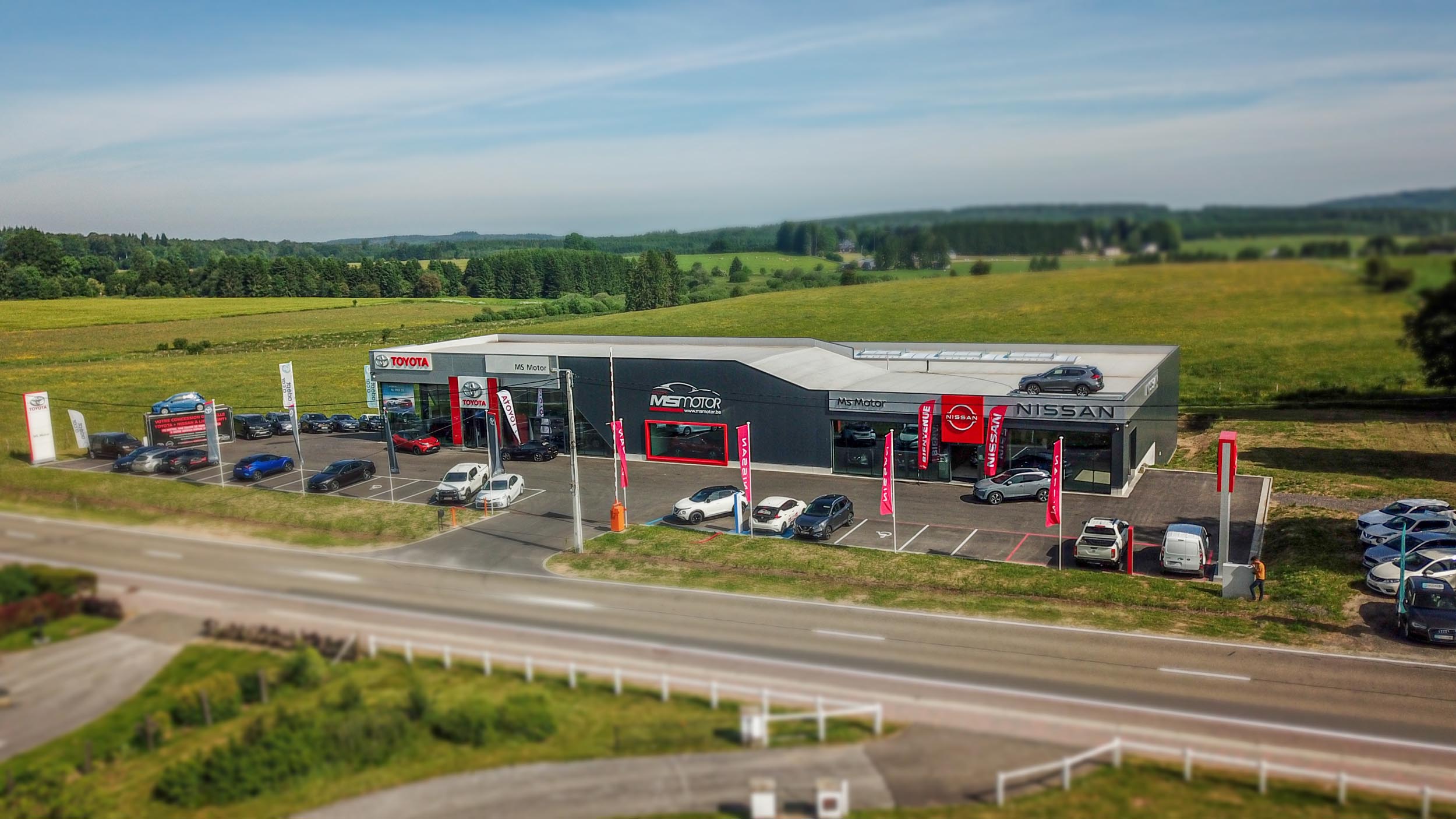 MS Motor - À propos